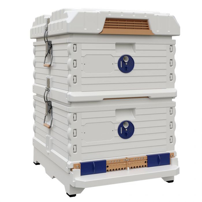 Apimaye – The Urban Beehive