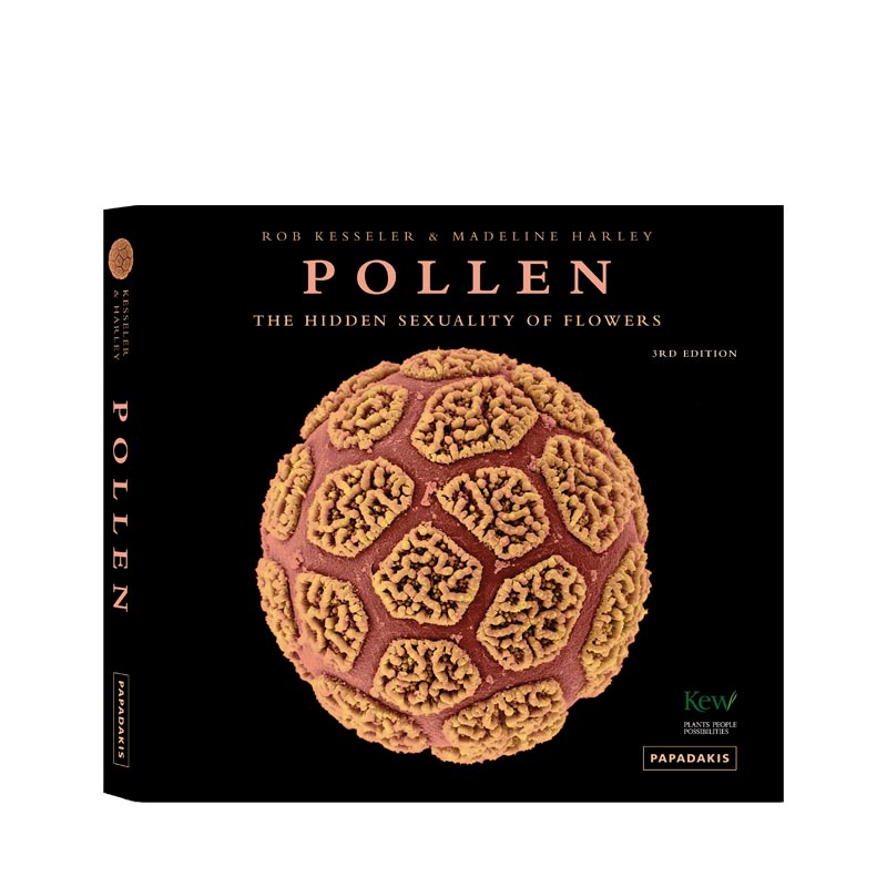 Pollen: The hidden sexuality of flowers – The Urban Beehive