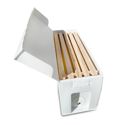 The Urban Beehive Beekeeping Equipment Store