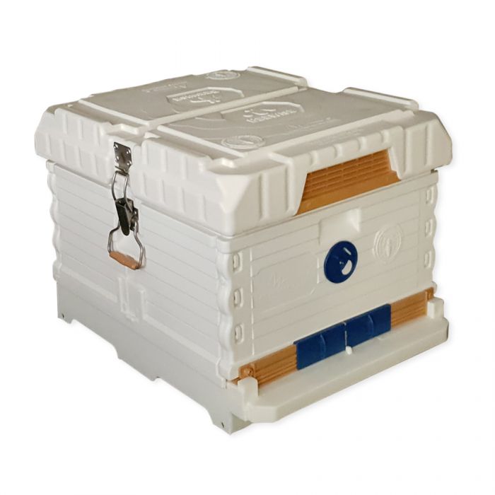 Apimaye – The Urban Beehive