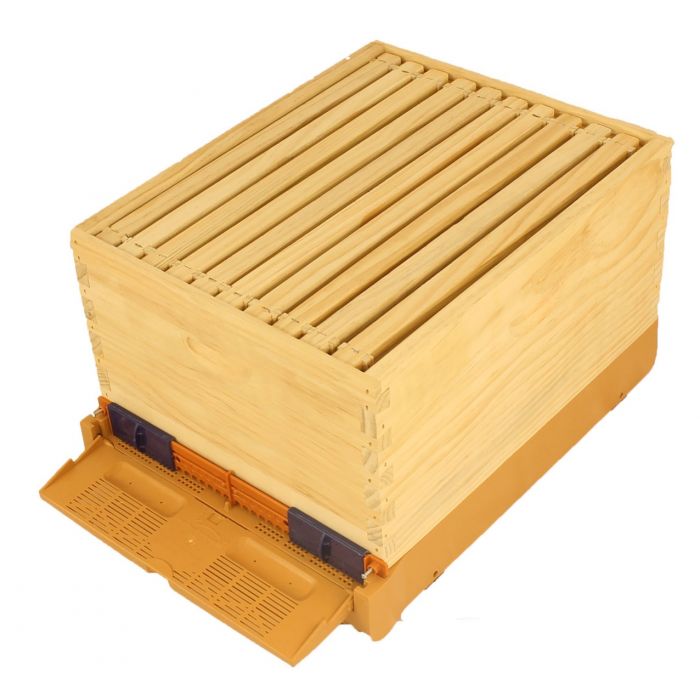 Varroa – The Urban Beehive