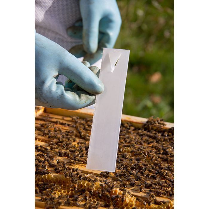 Apivar Varroa Strips 4 Pack – The Urban Beehive