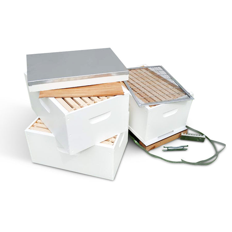 Beekeeping starter kits – The Urban Beehive