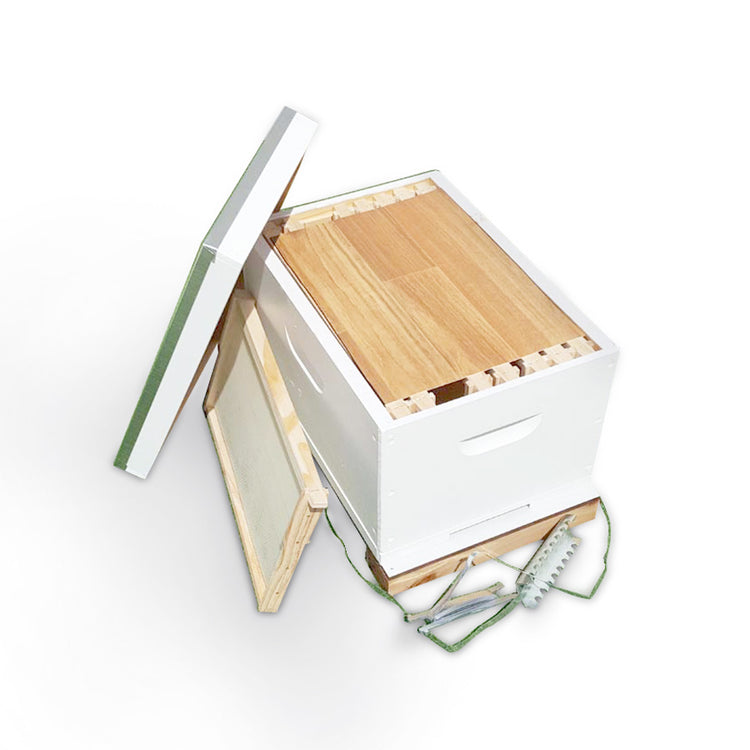 The Urban Beehive Beekeeping Equipment Store