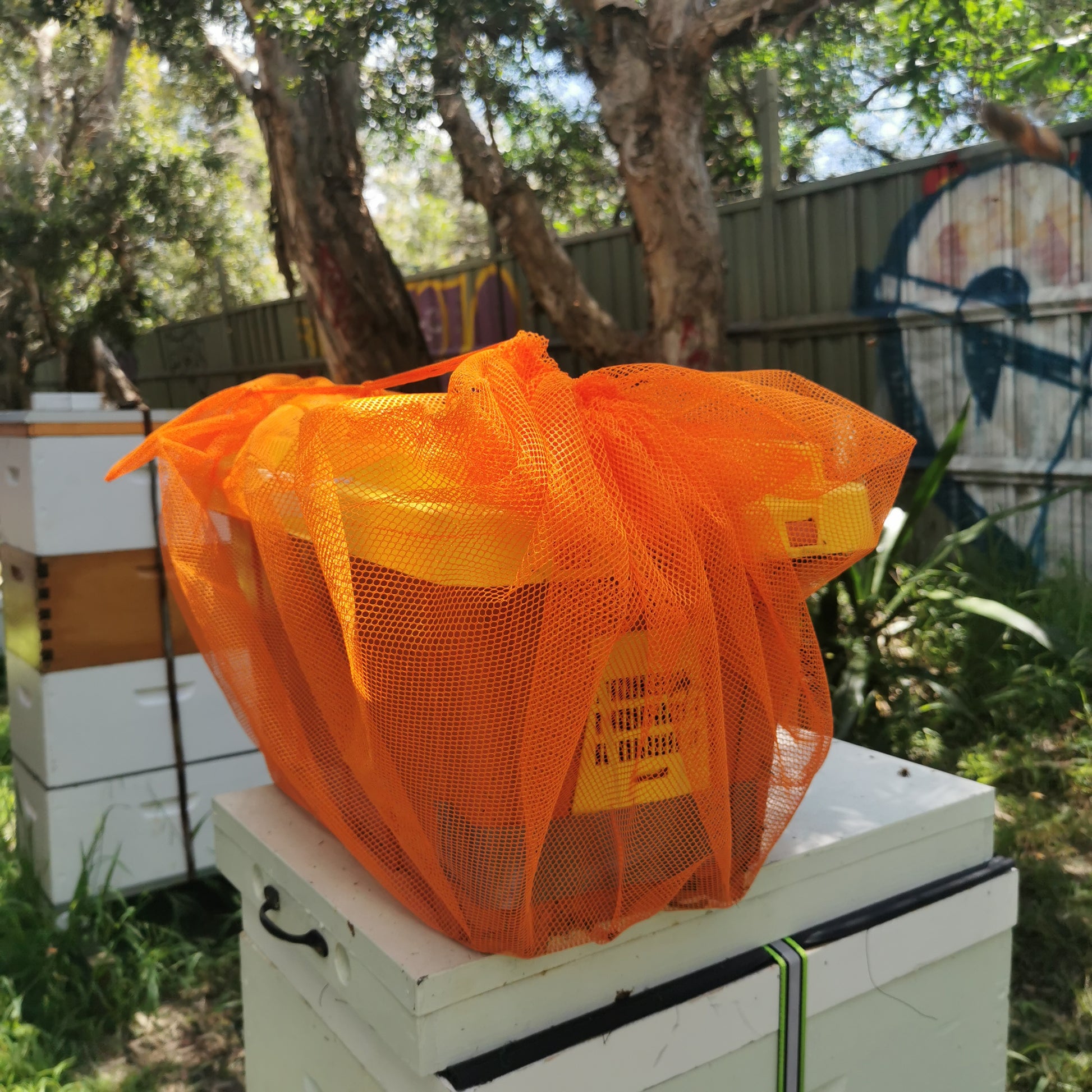Nucleus or Hive Transport Bag – The Urban Beehive